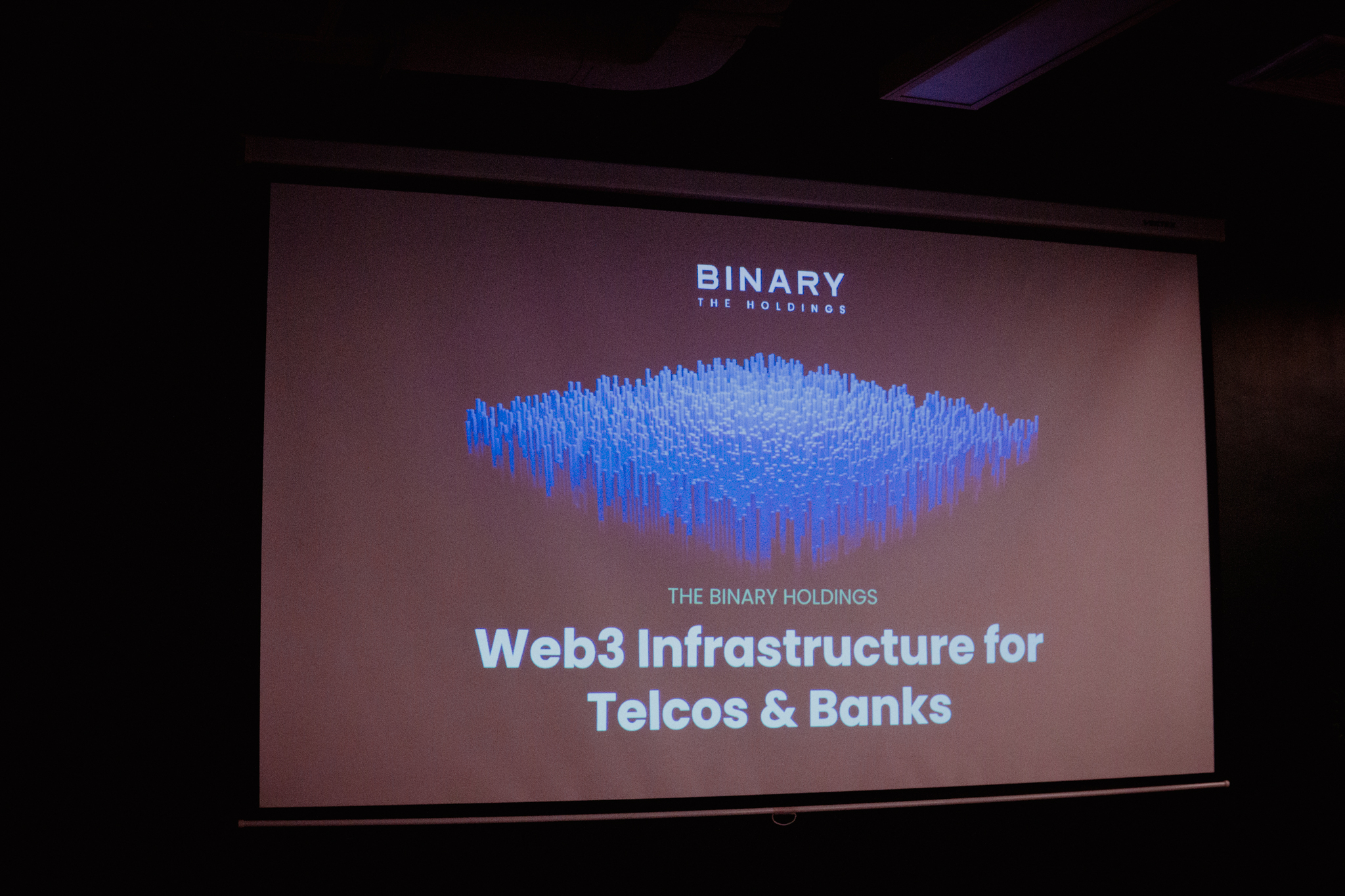 The Binary Holdings (TBH) - The Web3 Infrastructure Provider For Telcos